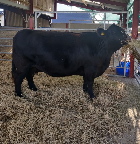 Welcome – Farming That Cares